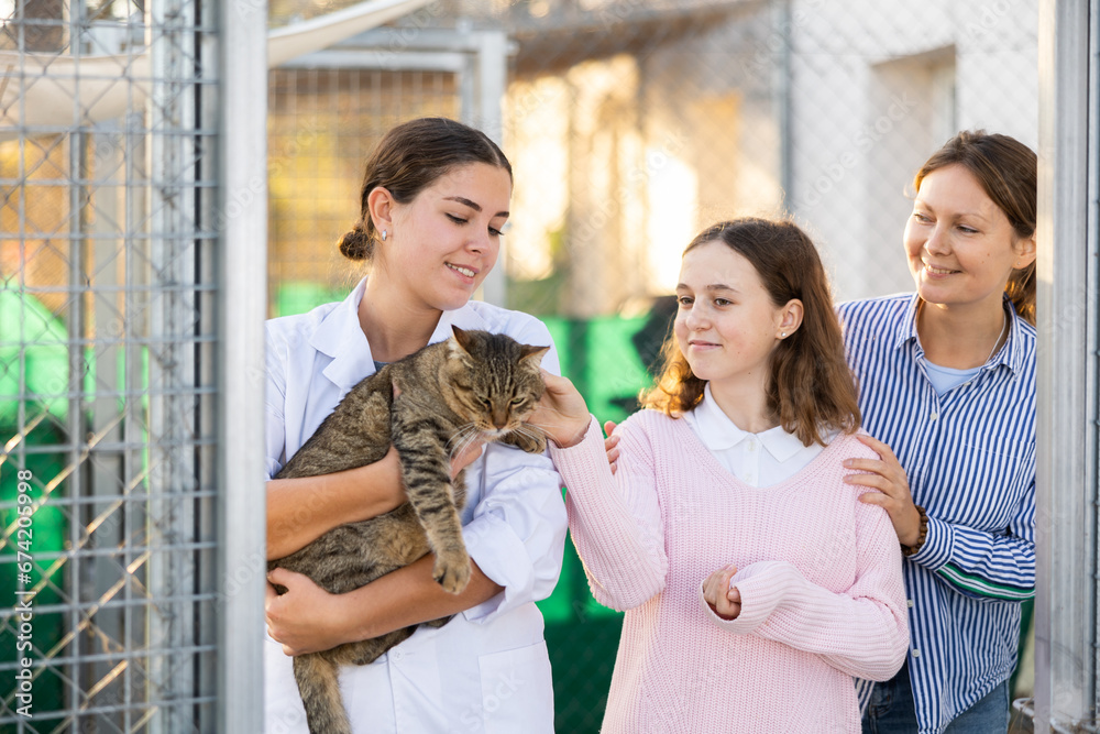 Positive young female volunteer showing big gray tabby cat to preteen ...
