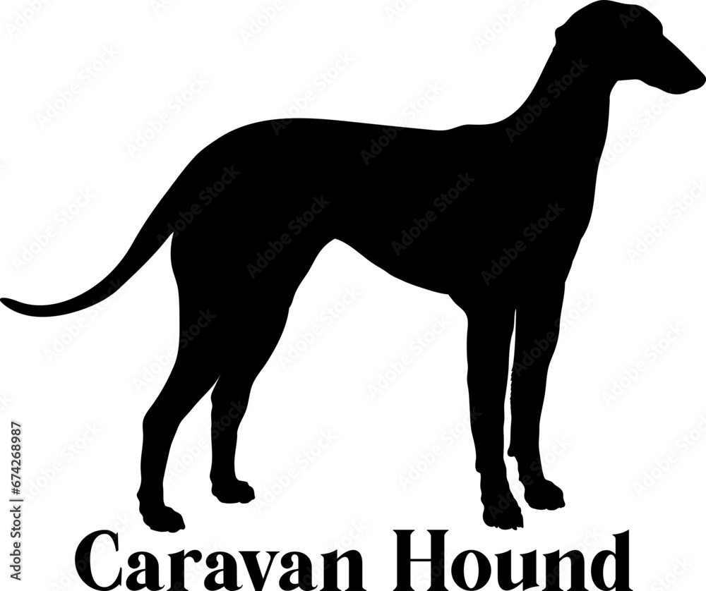 Caravan Hound, Dog silhouette dog breeds logo dog monogram logo dog ...