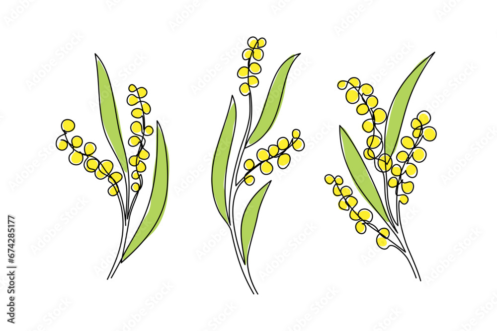 Continuous line drawing blooming mimosa branches set. One line drawing ...