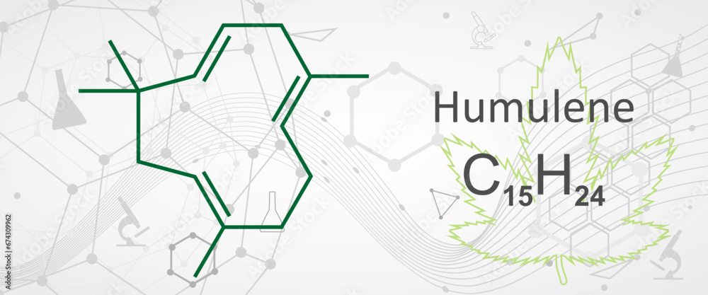 Humulene, alpha-humulene or alpha-caryophyllene molecule. It is ...