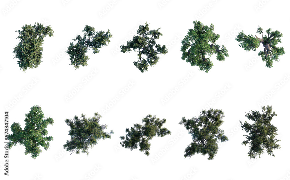 tree top view plant landscape architecture nature garden aerial render ...