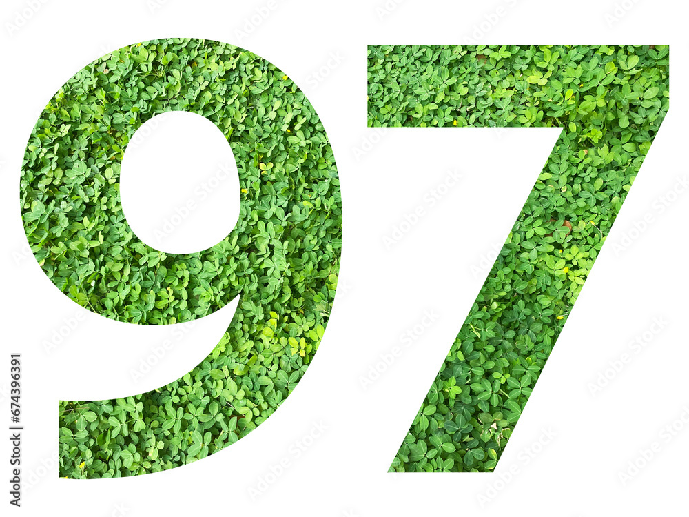 The shape of the number 97 is made of green grass isolated on ...