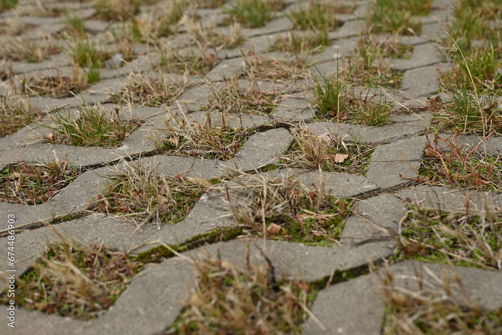 old grass on the eco parking lot as background texture of square tiles ...