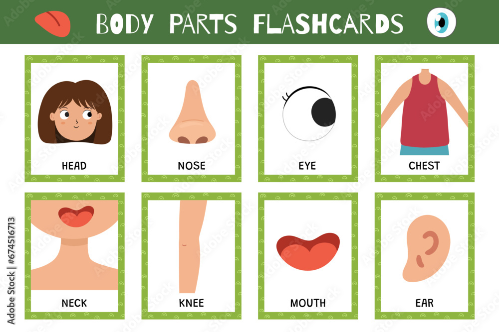 Body parts flashcards collection. Flash cards for practicing reading ...