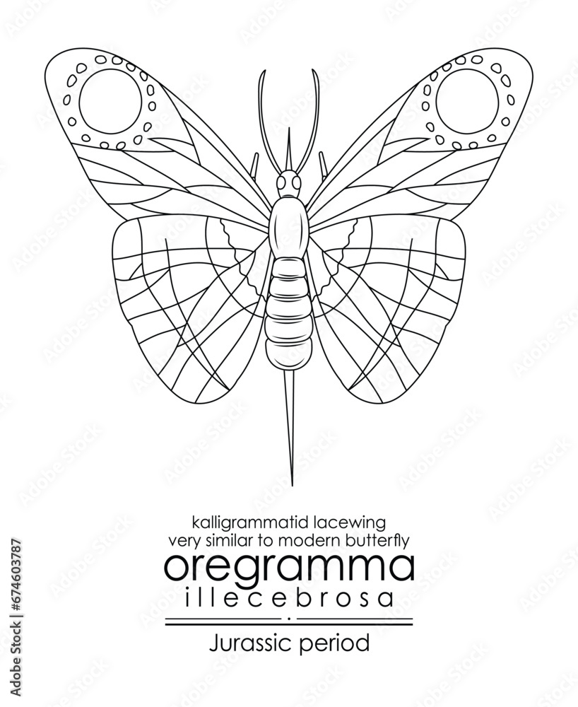 Prehistoric butterfly-like insect Oregramma illecebrosa from Jurassic ...