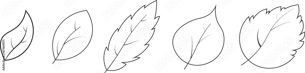 Bundle set of outline illustration of vary leaves, black line isolated ...