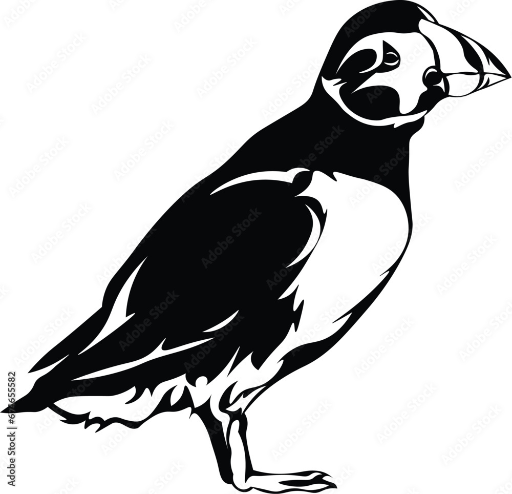 Cartoon Black and White Isolated Illustration Vector Of A Puffin Bird ...