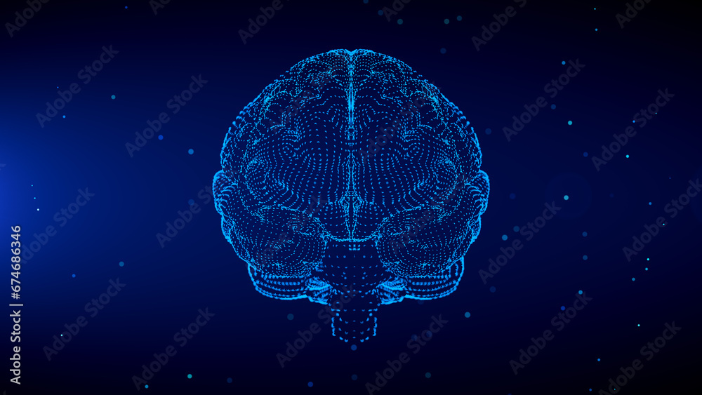 Blue Shine Front View 3d Human Brain Anatomy Wireframe Hologram With ...