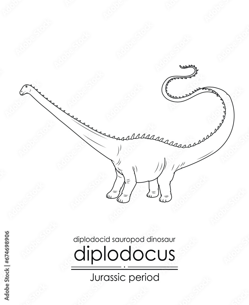 Diplodocus, a Jurassic period diplodocid sauropod dinosaur. Herbivorous ...