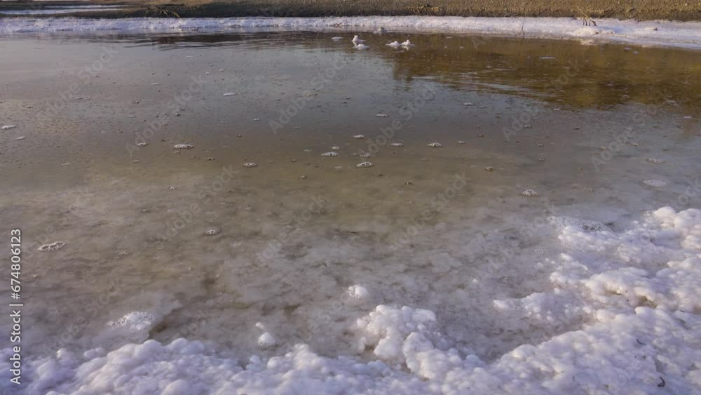 Mineralogy. Shore of hypersalted lake (self-settling salt lake) with ...