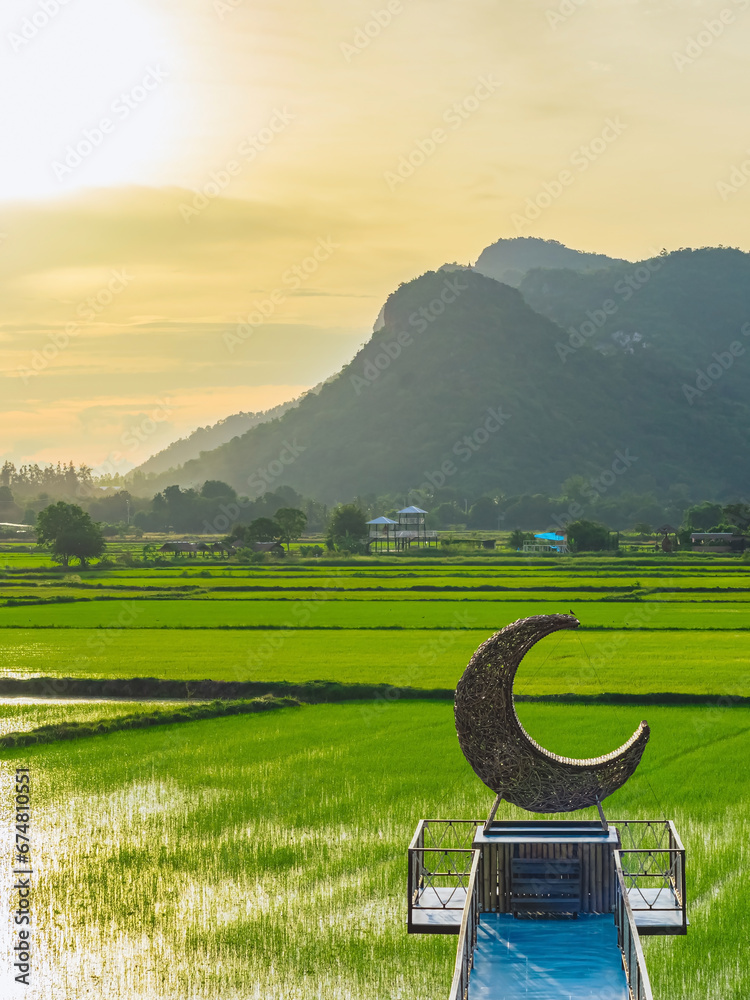 Beautiful crescent moon chair made of rattan for relaxation on bridge ...