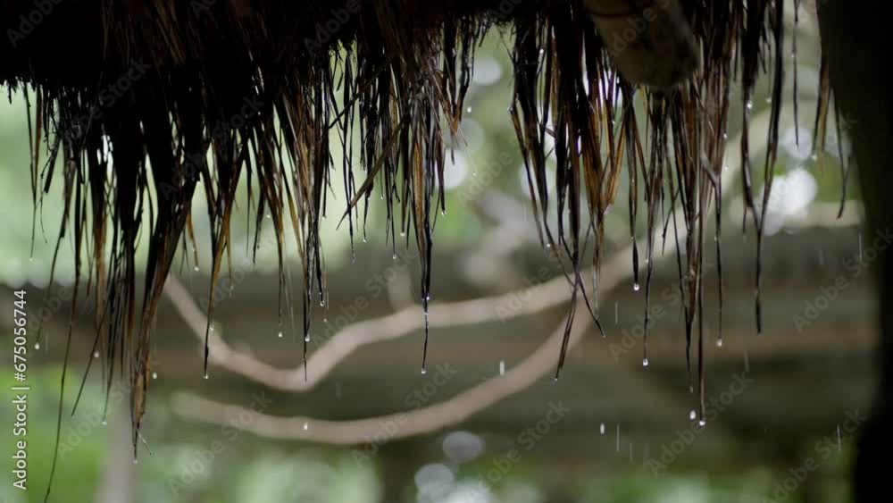 Close-up slow-motion of raindrops falling from hanging hay gazebo Stock ...