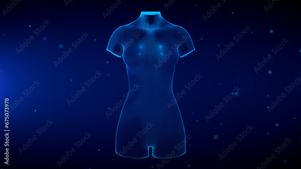 Blue Shine Front View 3d Human Female Torso Wireframe Hologram With ...