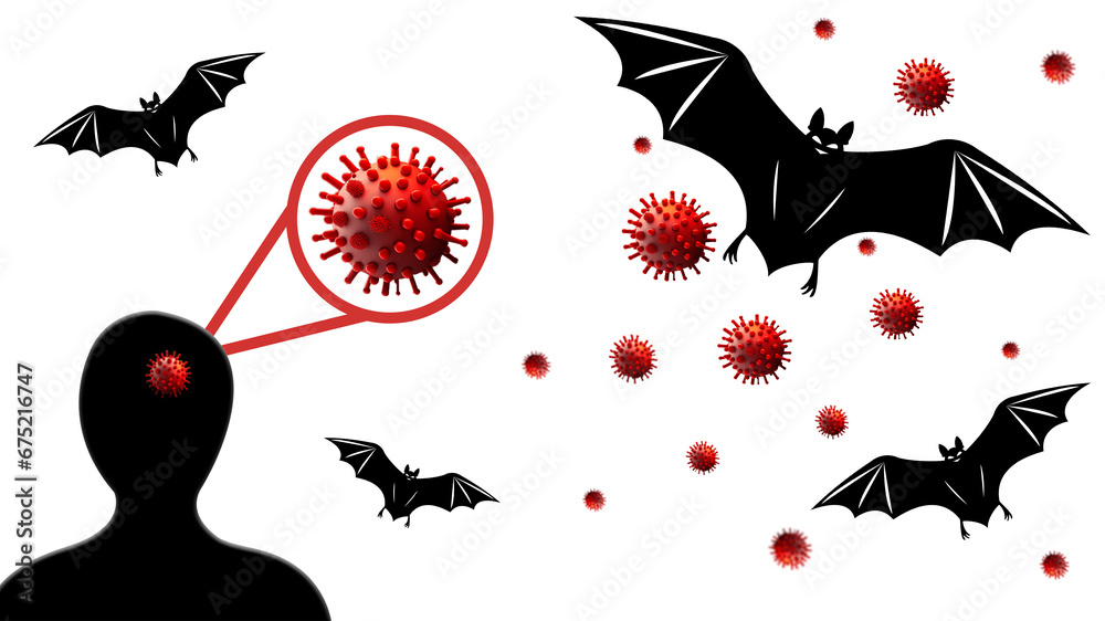Bat virus transmission from animals to humans, isolated. Nipah bat ...