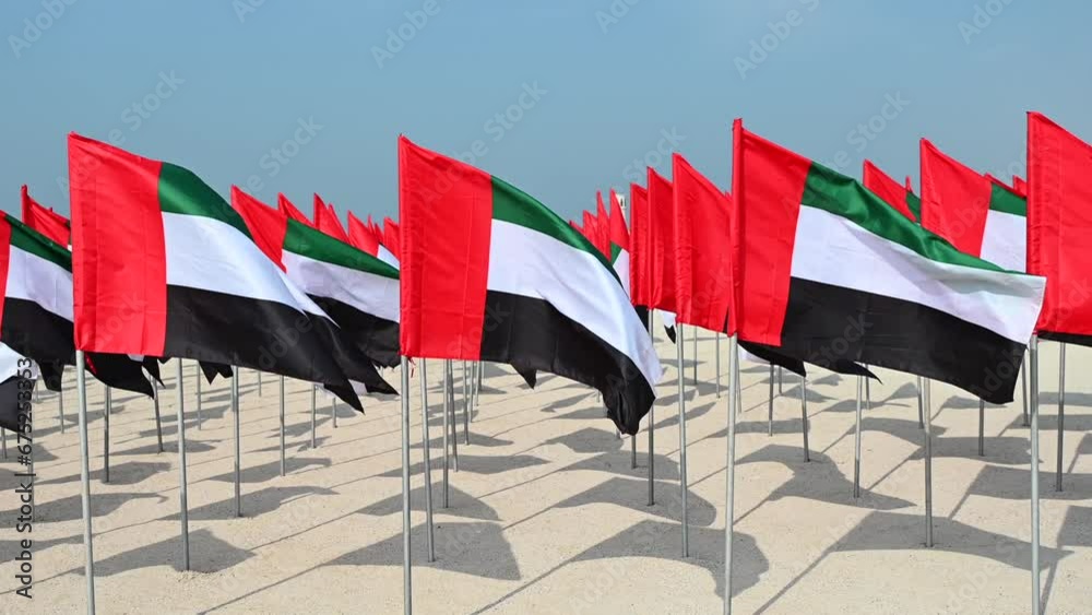 UAE flags are on display at the Flag Garden to celebrate UAE Flag Day ...