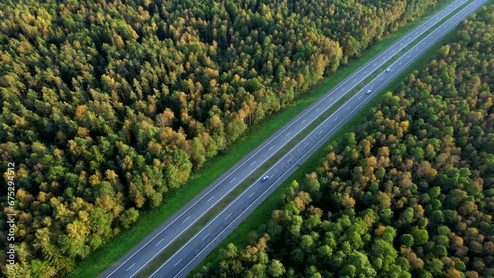 Road traffic, aerial view. Highway at forest with trees in autumn. Cars ...