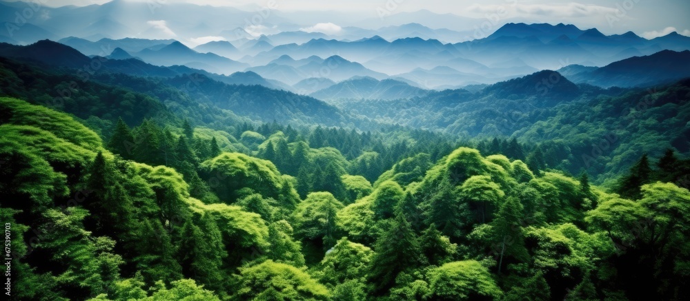 In Japan the beautiful and natural island of Hokkaido is known for its ...