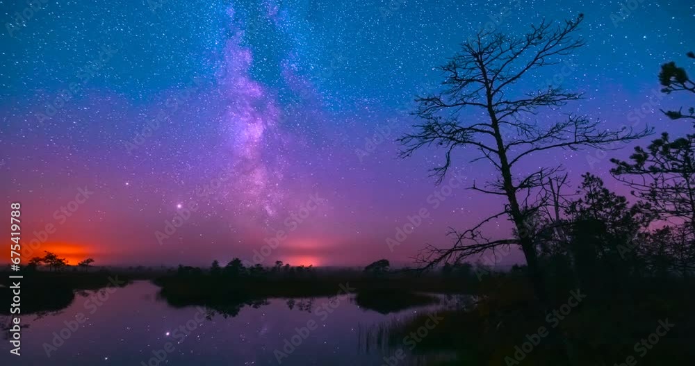 4K Pine silhouette at Sunset and night transition background. Moon ...