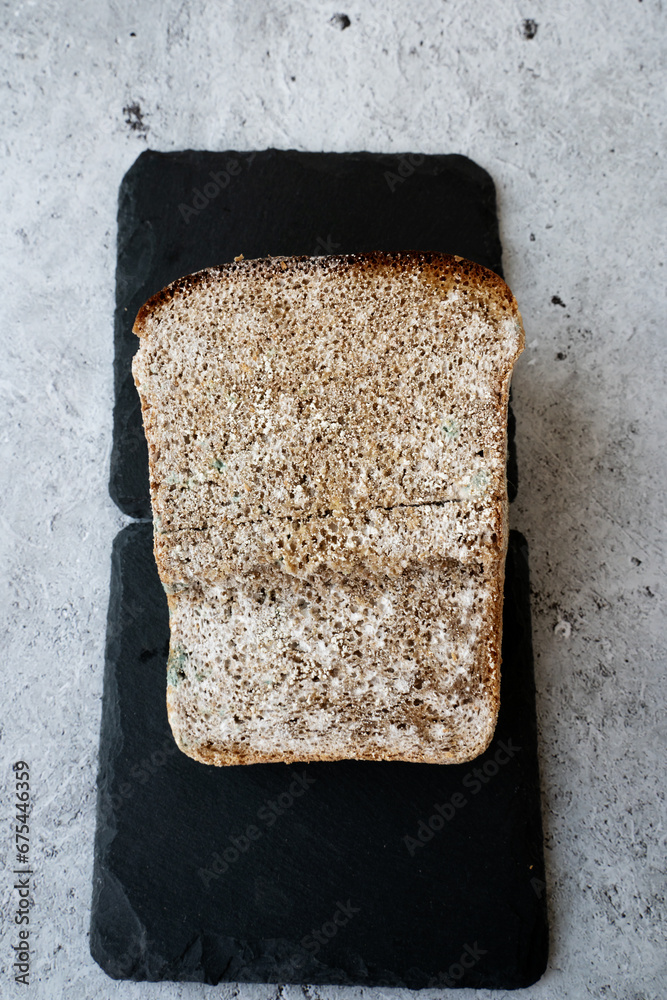 piece of rye bread with mold, Fungus on bread, mold on bread covered ...