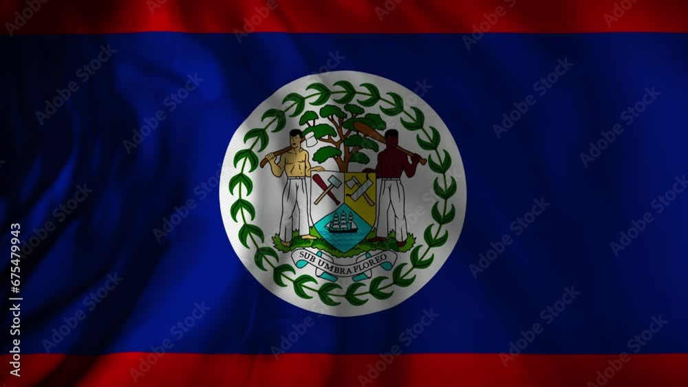 Vidéo Stock Belize flag waving animation, official colors. Belize Flag ...