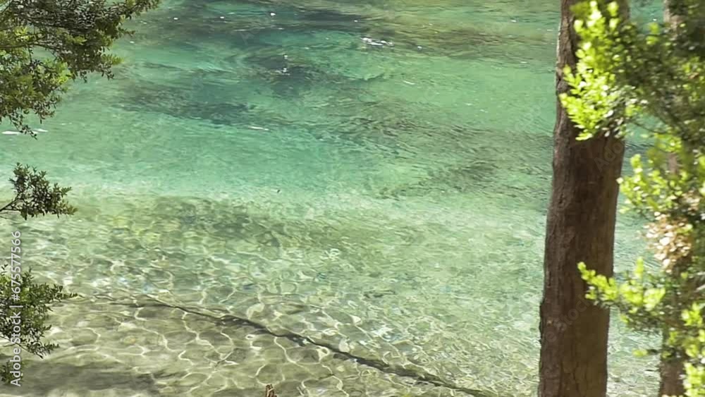 Perfectly clear river water, from the glacier melting of the Andes ...