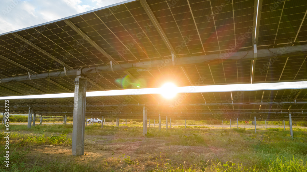 Utility scale solar farm or pv plant with bifacial modules and trackers ...