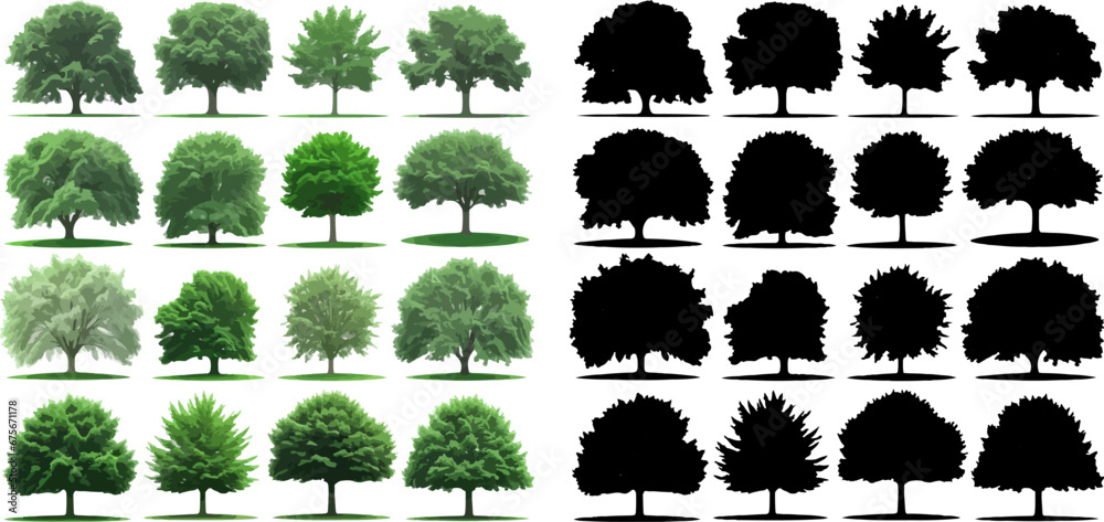 Silhouettes of Pine Trees set, Tree and Firs against a White Background ...