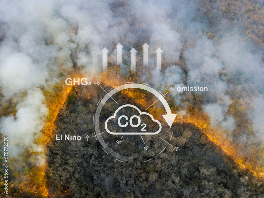 Climate change, Wildfires release carbon dioxide (CO2) emissions and ...