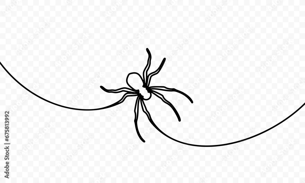 Continuous one line drawing of spider sits on the web vector design ...