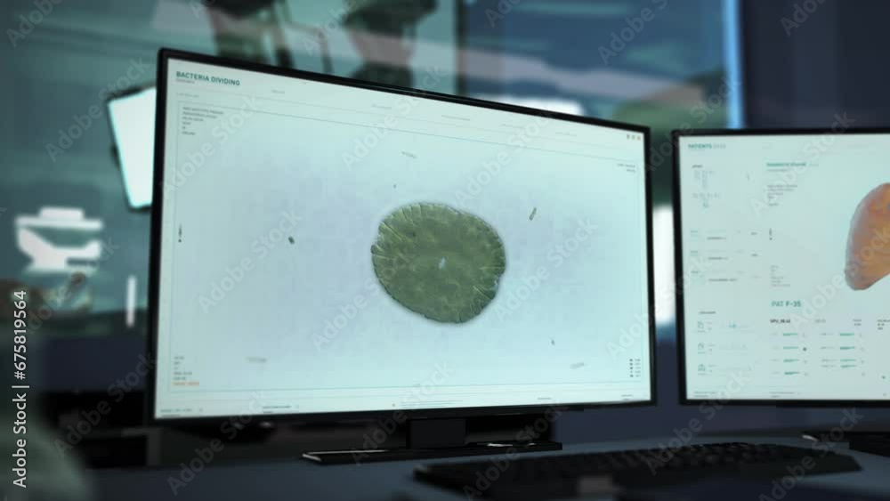 Bacteria Cell Division Process Analysis On Microscopic Level. Cell ...
