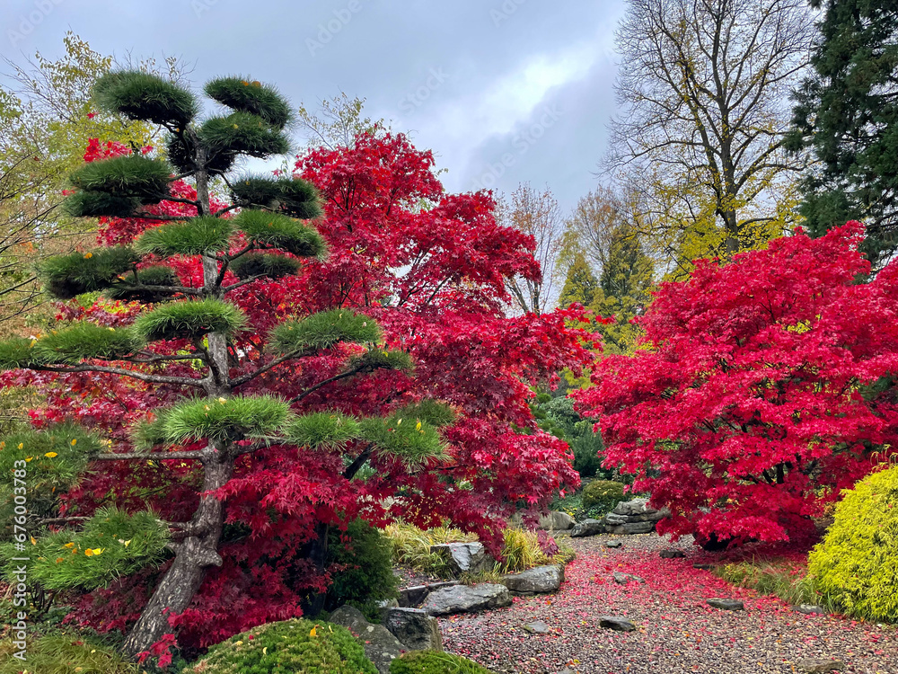 Stunning view of the beautiful botanical garden park landscape with ...