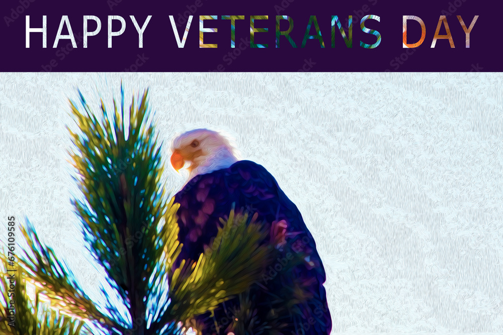 Happy Veterans Day Message - Bald Eagle Resting in A Conifer Tree ...