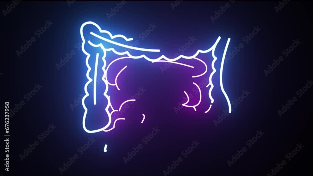 Neon anatomy of the human digestive system. Anatomy of the human ...