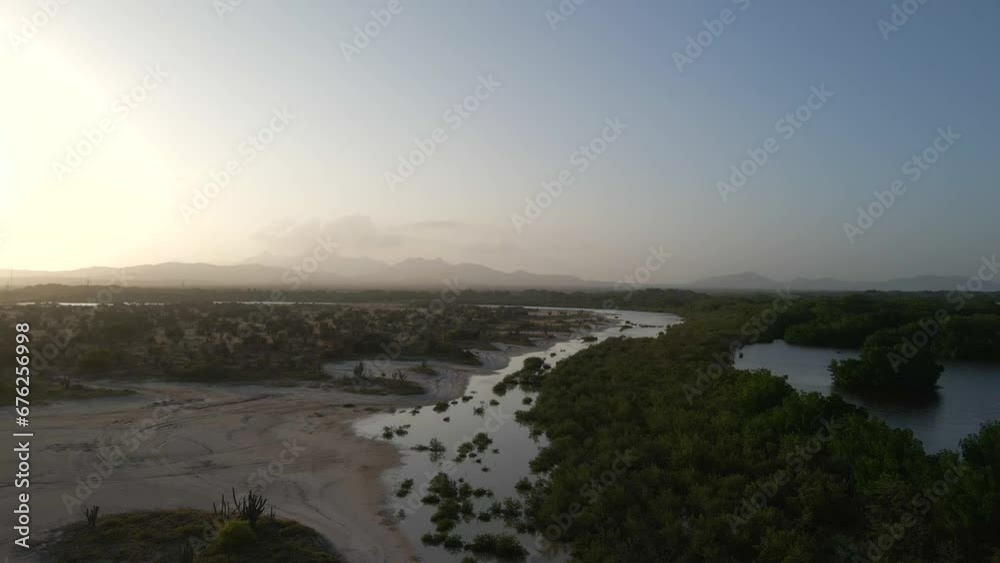 Drone follows an extended body of water, mangrove forest, long ...