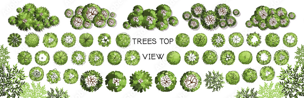 Tree for architectural floor plans. Entourage design. Various trees ...