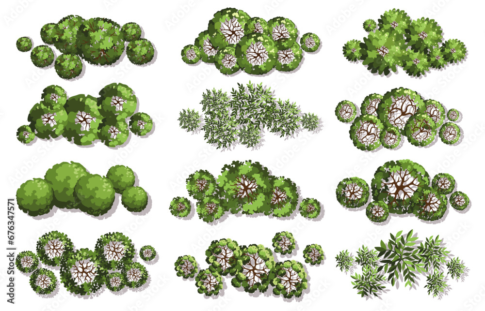 Tree for architectural floor plans. Entourage design. Various trees ...