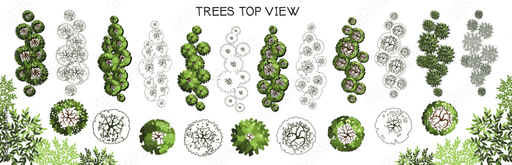 Tree for architectural floor plans. Entourage design. Various trees ...