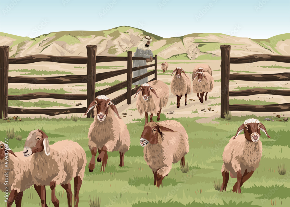 Shepherd opening gate for sheep to run into fresh, green pasture. Biblical illustration ...