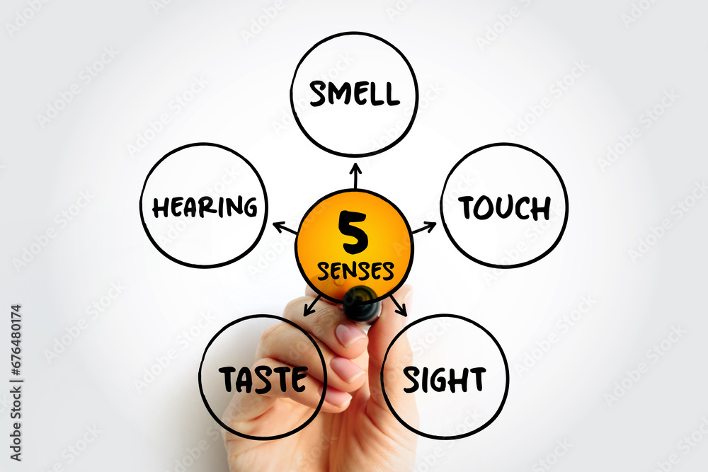 Five basic human senses: touch, sight, hearing, smell and taste, mind ...