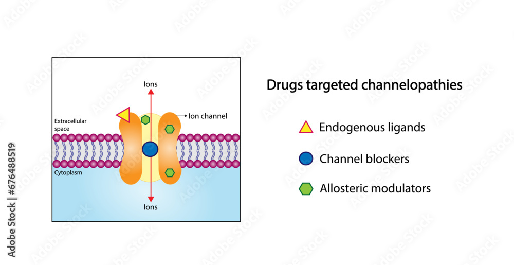 Drugs targeted channelopathies, endogenous ligands channel blockers and ...