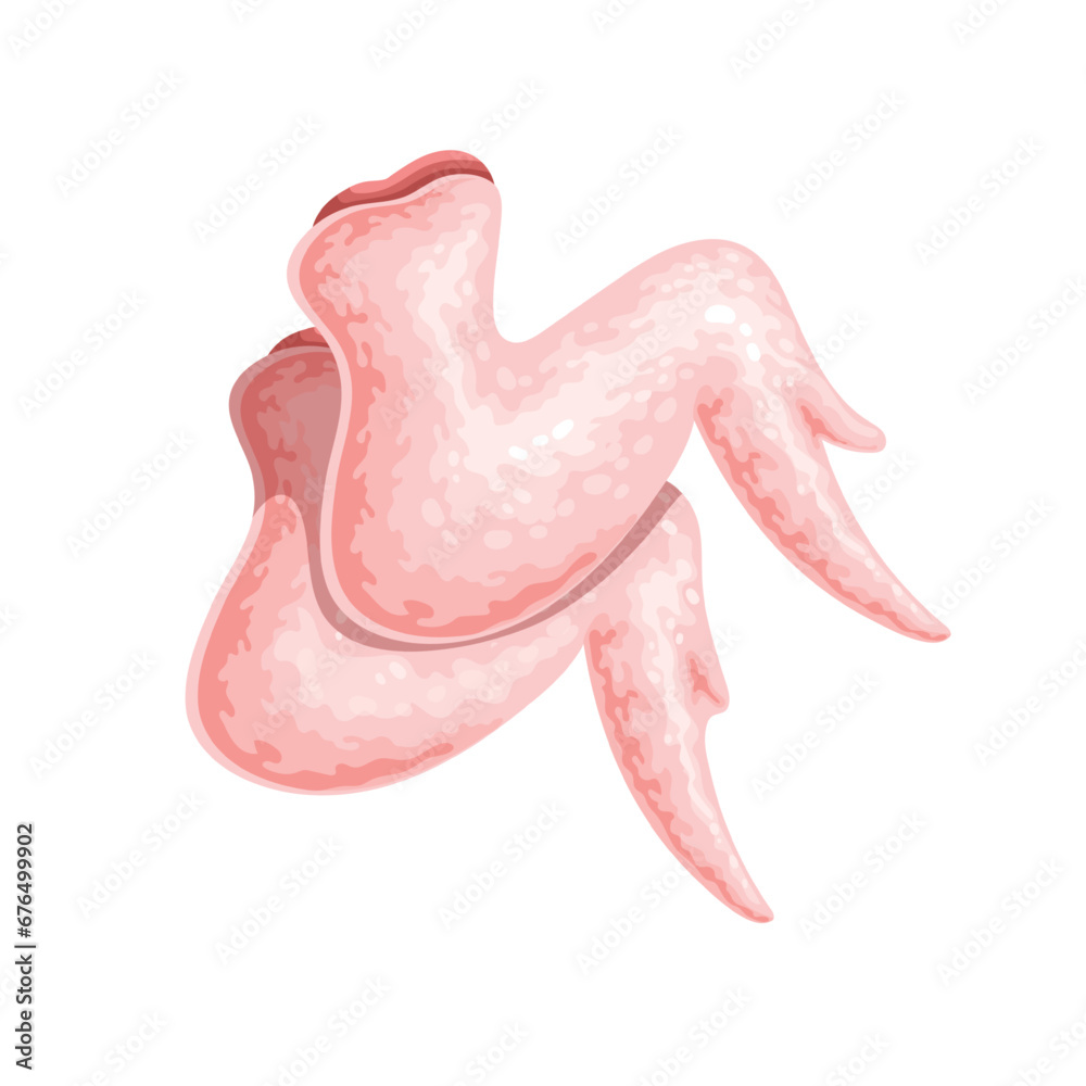 Chicken wings vector illustration. Cartoon isolated fresh portion of ...