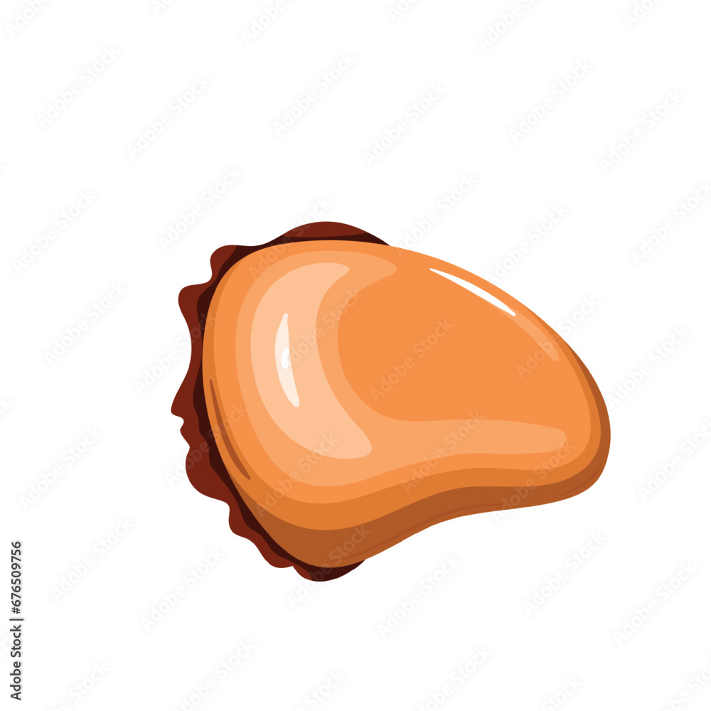 Mussel vector illustration. Cartoon isolated top view of one bivalve ...