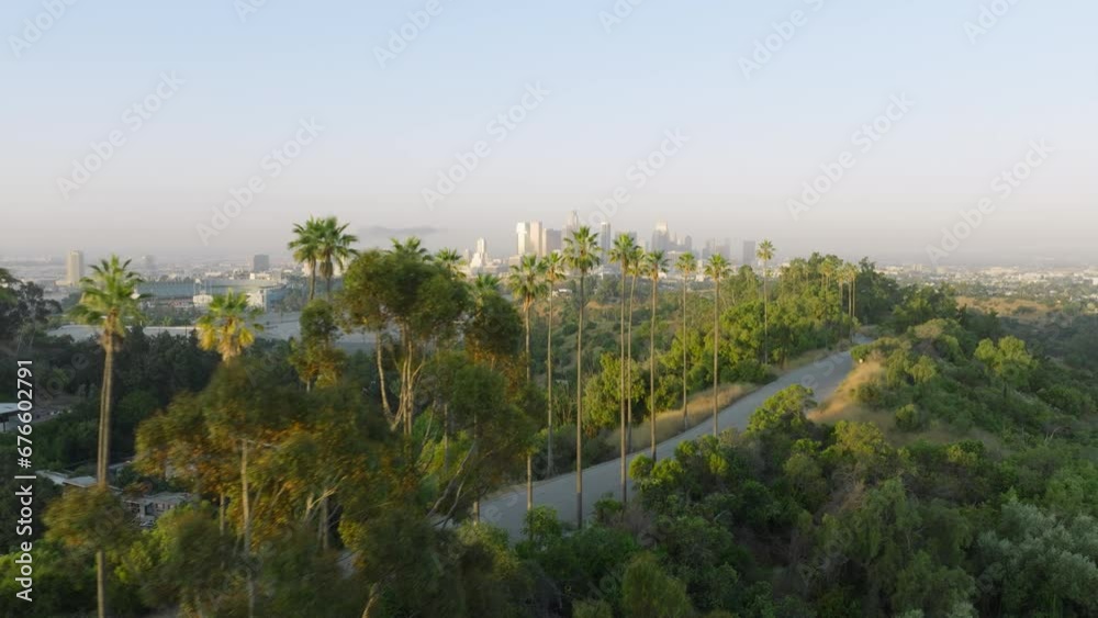 Palms in golden sunrise light on Hollywood hills with scenic Los ...