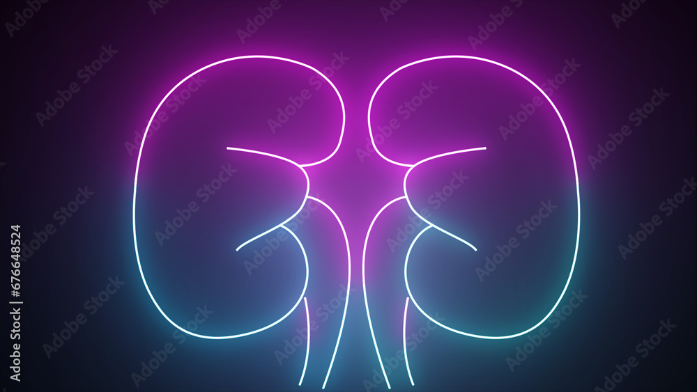 Glowing blue and purple neon line Human kidney icon isolated on a black ...