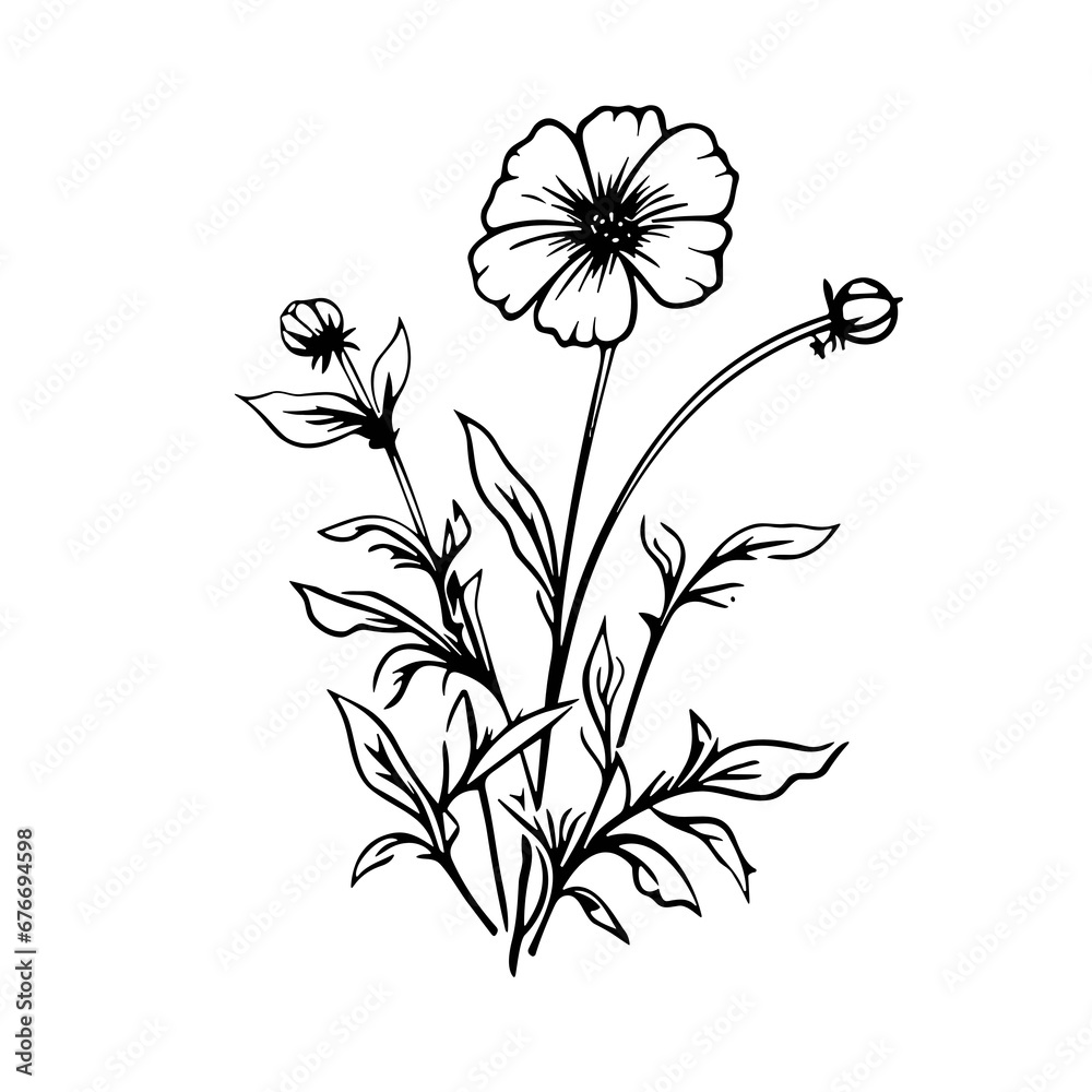 line drawing, line art png, line art prints, spring clipart, line art ...