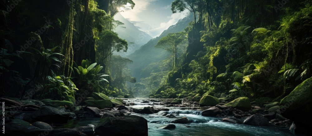 I went on an exciting adventure to Brazil s lush rainforest where I ...