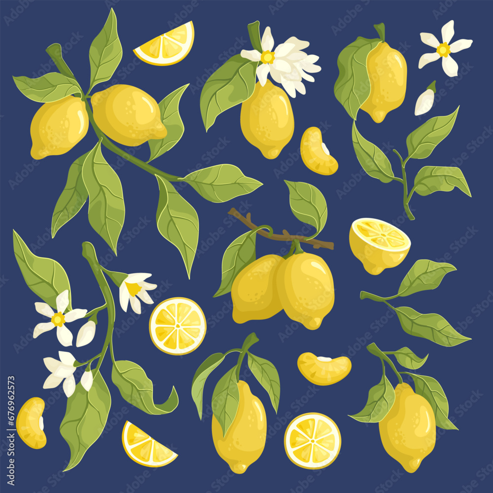 Realistic lemon collection on dark background. Lemons on a branch with ...
