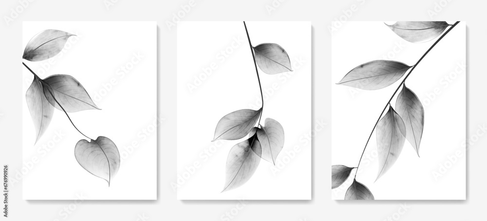 Art background with black and white transparent leaves on a branch in a ...