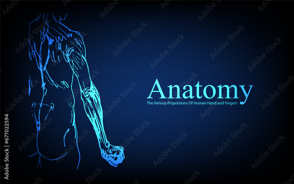 Human anatomy in front on x ray view. Anatomy human body connection ...