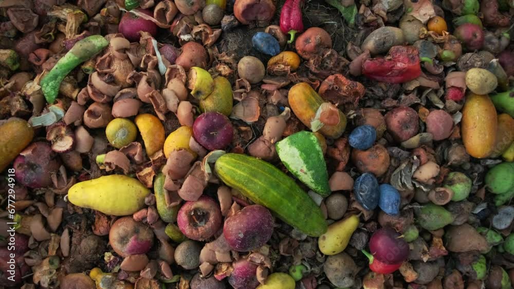 Compost pit. Food Waste. Compostable food scraps. Composting. Bio-waste ...